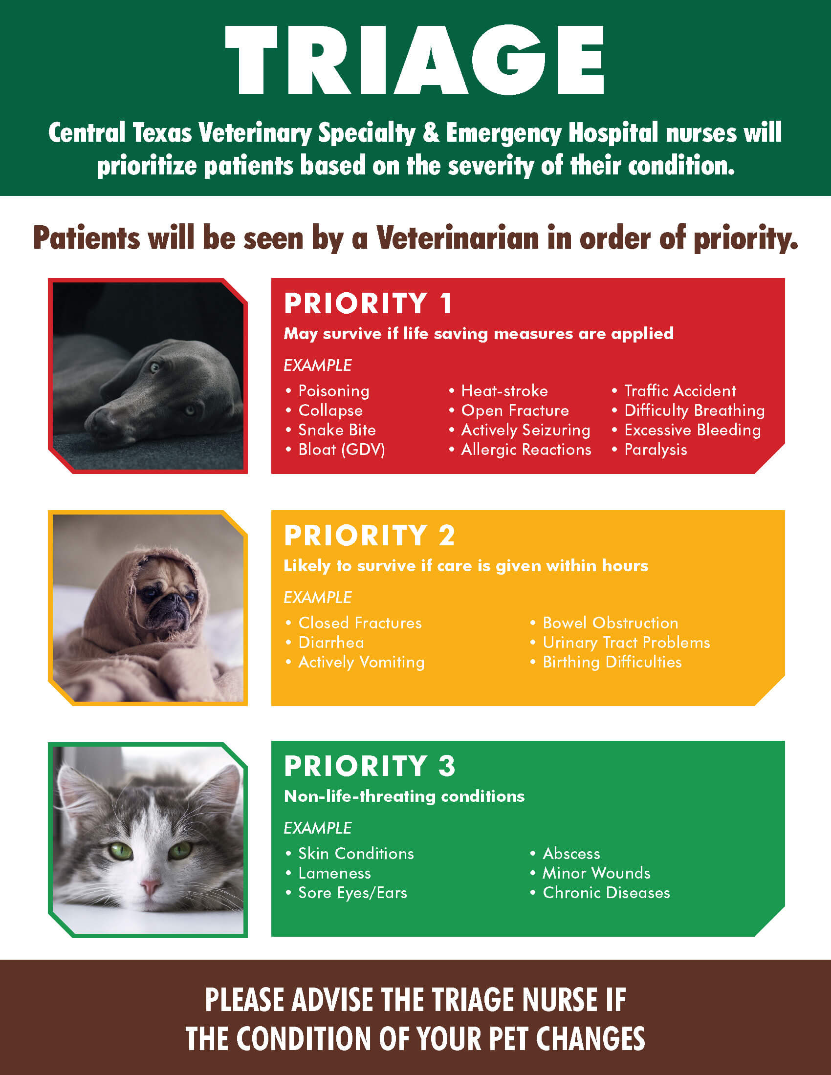 Emergency and Critical Care - Central Texas Veterinary Specialty ...